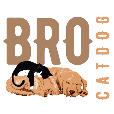 BRO CAT DOG